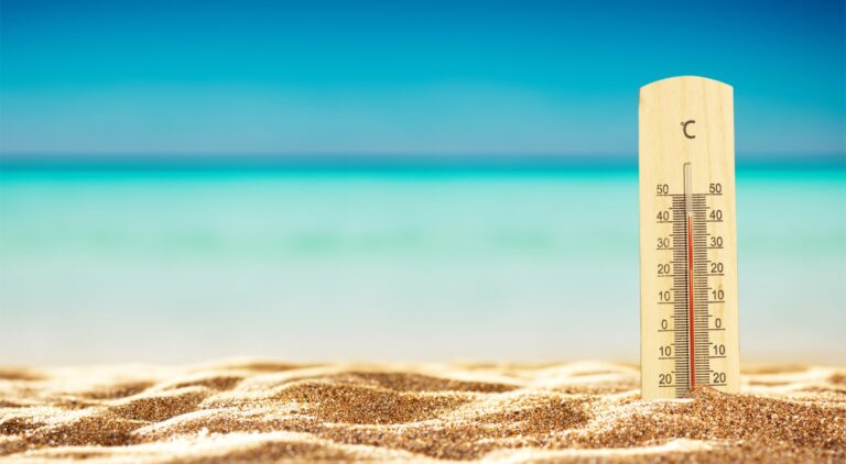 FLORIDA SAYS FAREWELL TO WARMTH, LIGHTS A CANDLE, AND PRETENDS THIS IS ...