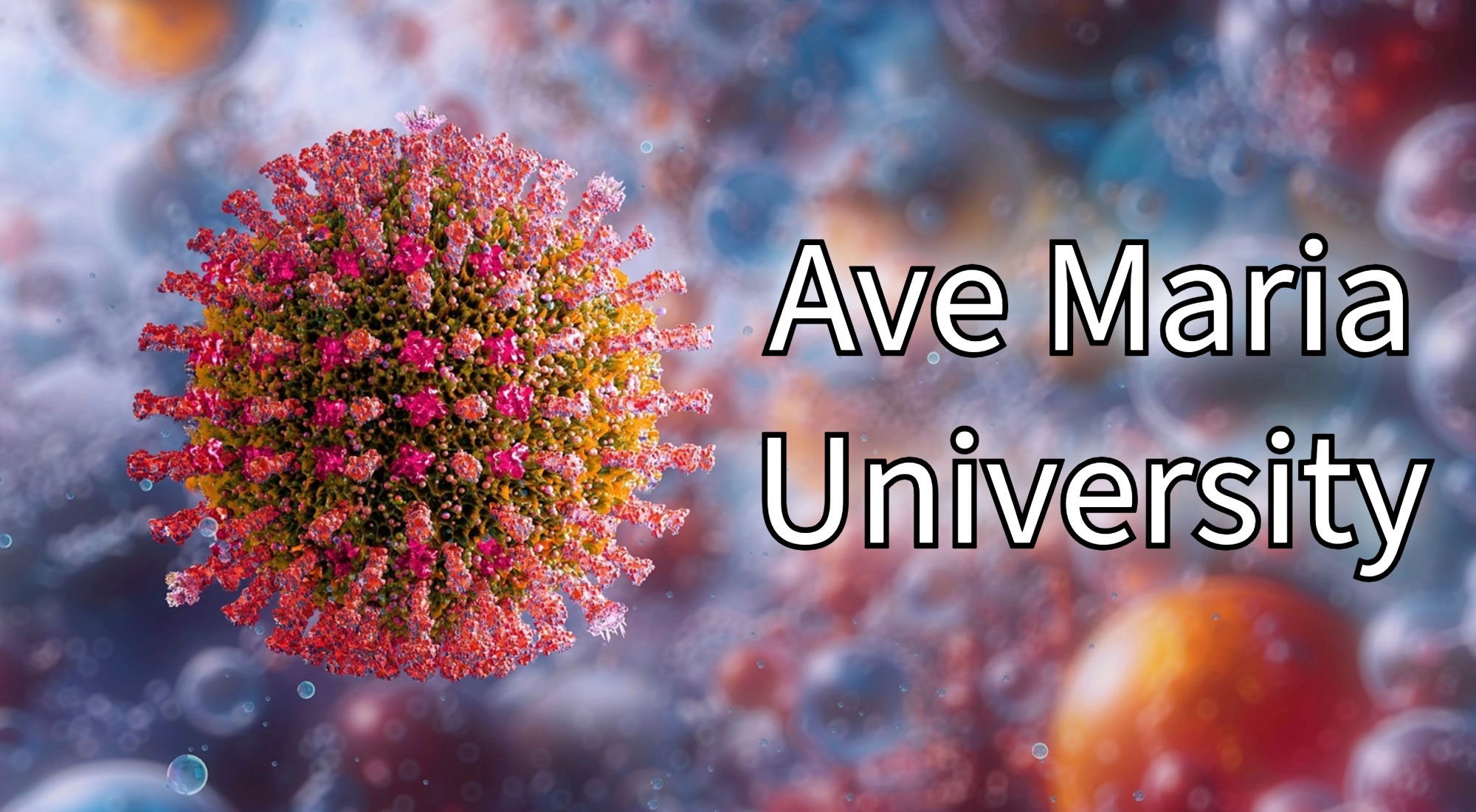 12 Measles Cases Confirmed at Ave Maria University - Marco Island and ...
