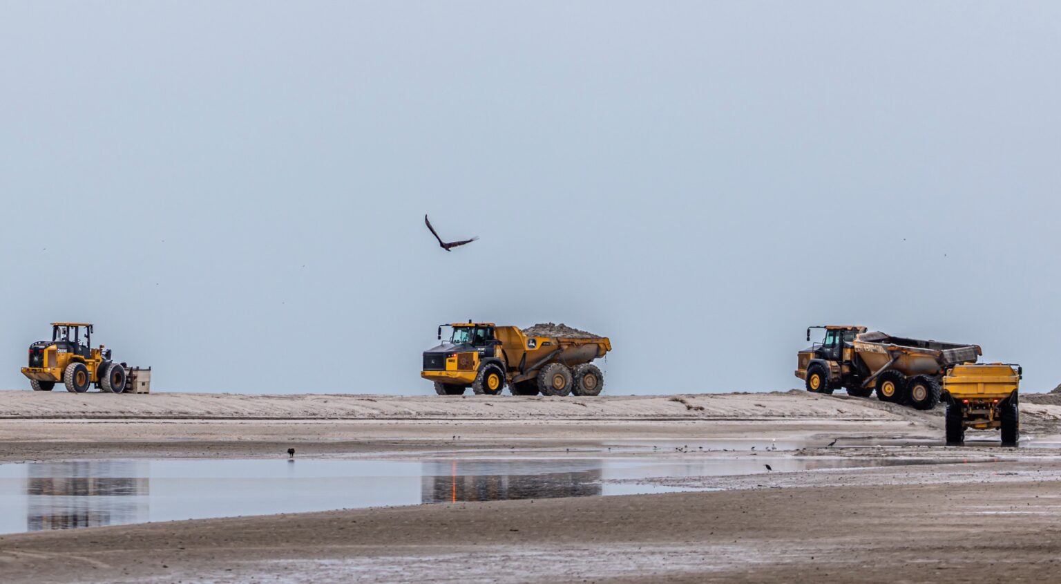 Sand Restoration Underway at Tigertail Beach Ahead of Nesting Season ...