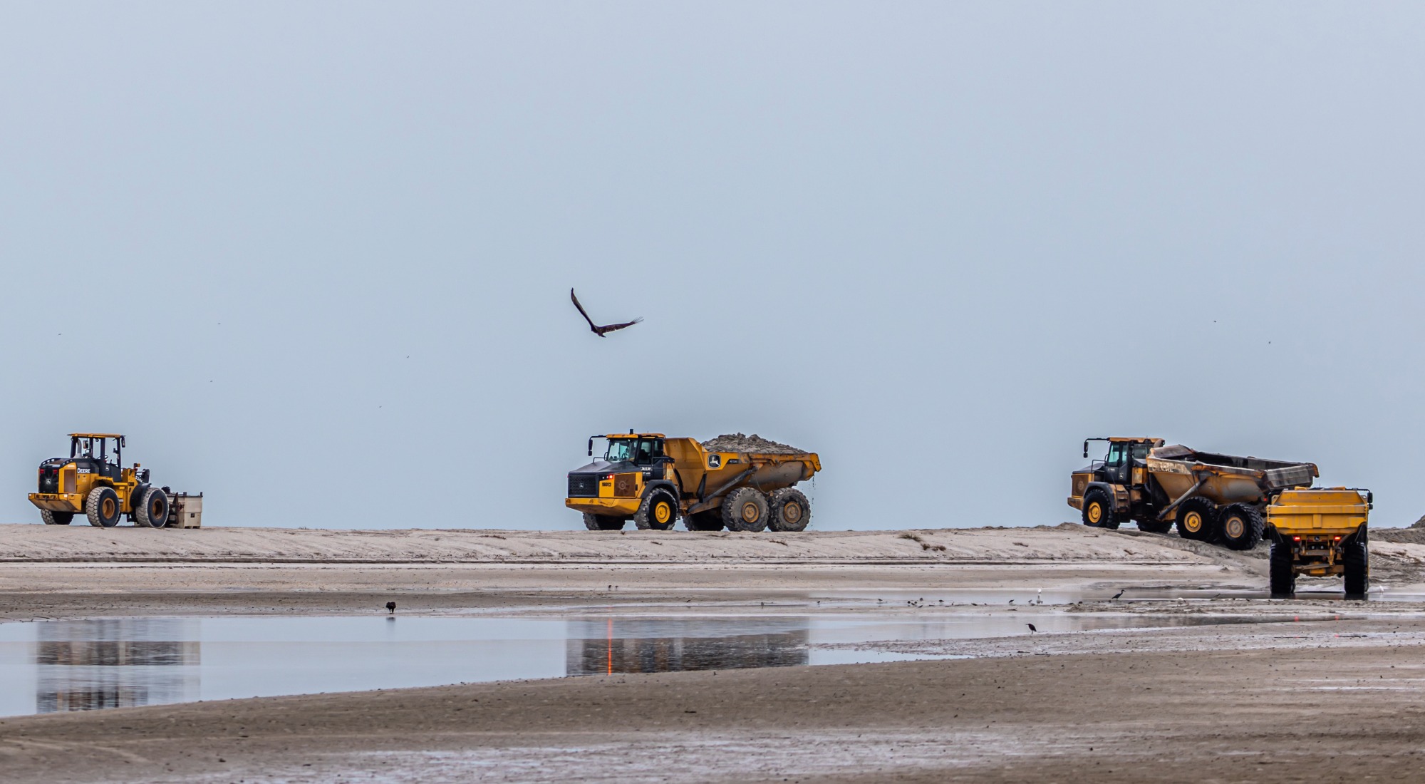 Sand Restoration Underway at Tigertail Beach Ahead of Nesting Season ...
